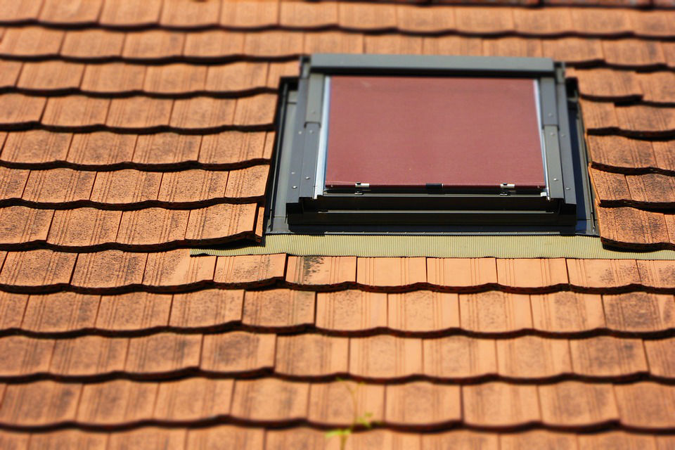 Pose de Velux : toutes les options intéressantes qui s’offrent à vous